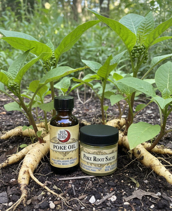 Poke Root (Topical) – livinghealthyitsalifestlye